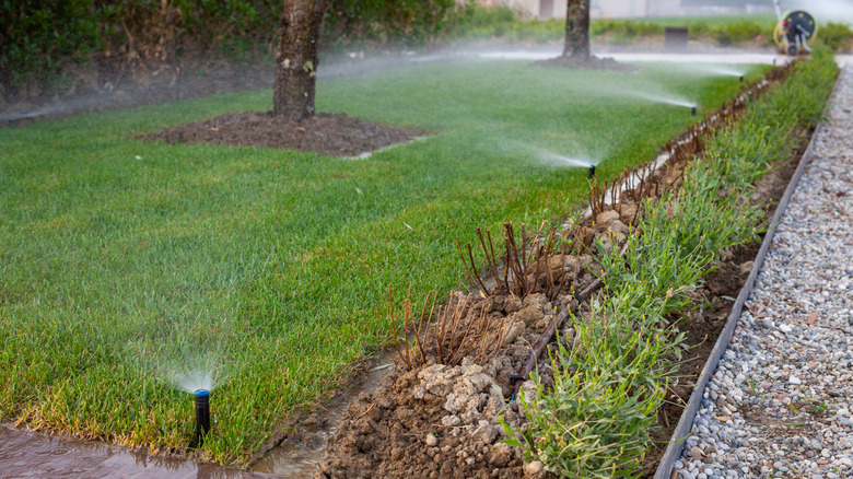 How to fine-tune your sprinkler system to cut down on expenses and ...