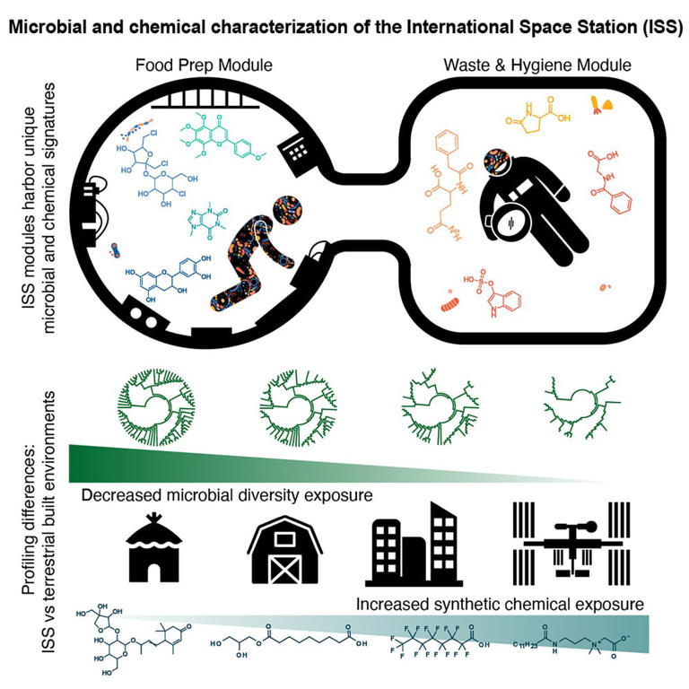 Scientists mapped 803 surfaces inside the ISS and found microbial ...