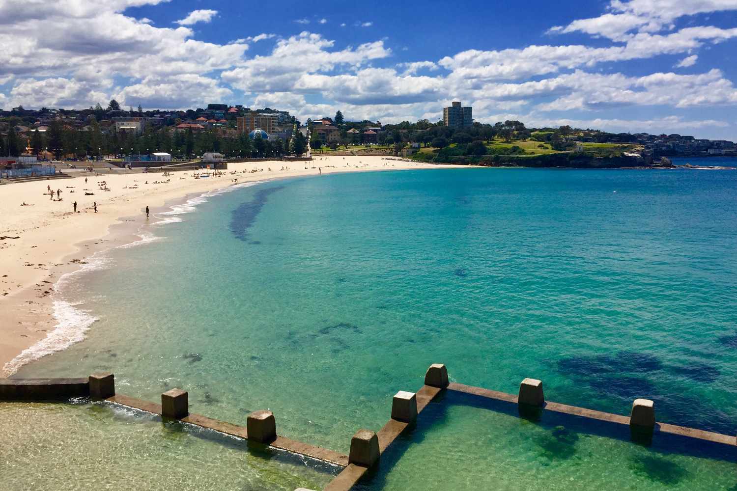 Woman critically injured in shark attack: 'There was a huge amount of ...