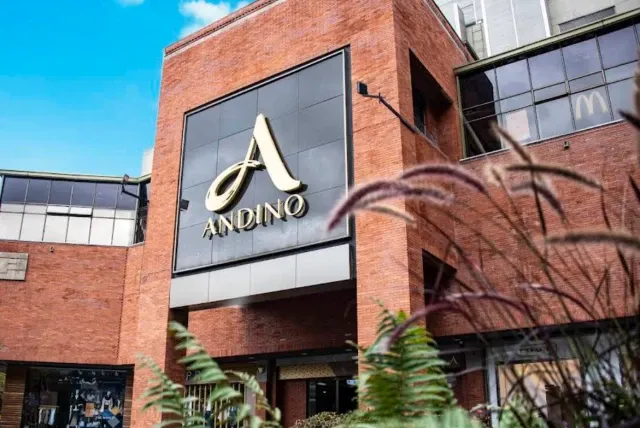 Polo Ralph Lauren abre en Andino su tienda más grande de Colombia y ...