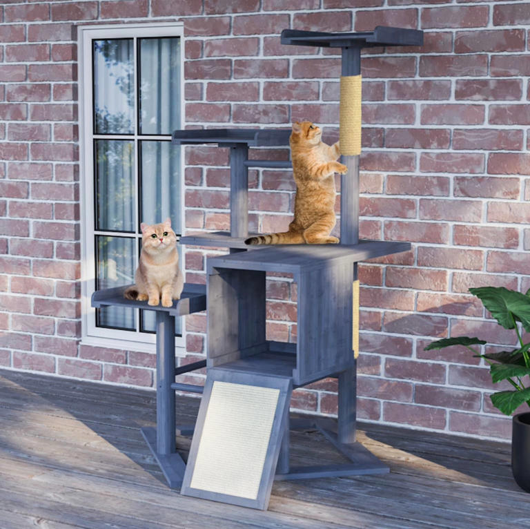 Walmart's weatherproof cat tree lets outdoor cats climb, lounge, and ...