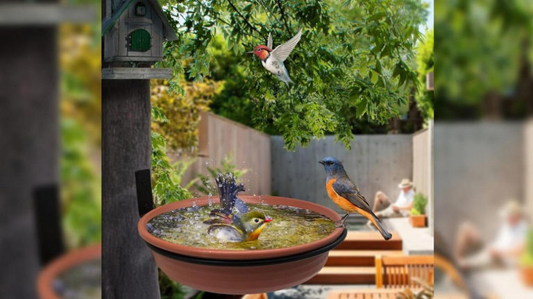 Say bye to traditional bird baths — Amazon has a space-saving solution ...