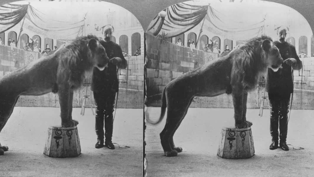 7 daring feats that risked life for spectacle