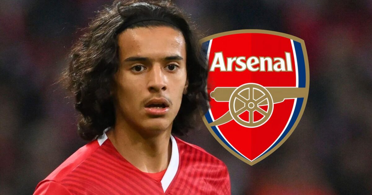 You'd worry about his career – World Cup star warned off Arsenal ...