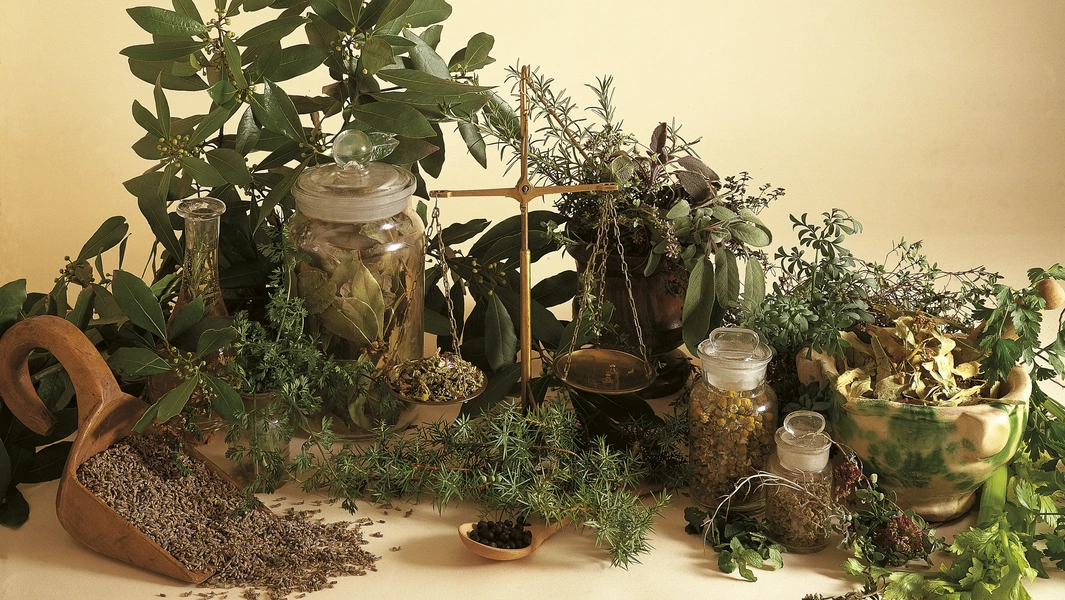 11 herbs linked to prosperity and spiritual traditions
