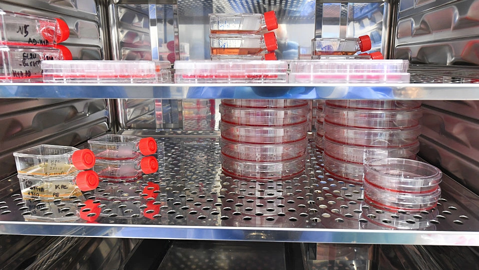 13 groundbreaking drug approvals and medical advances