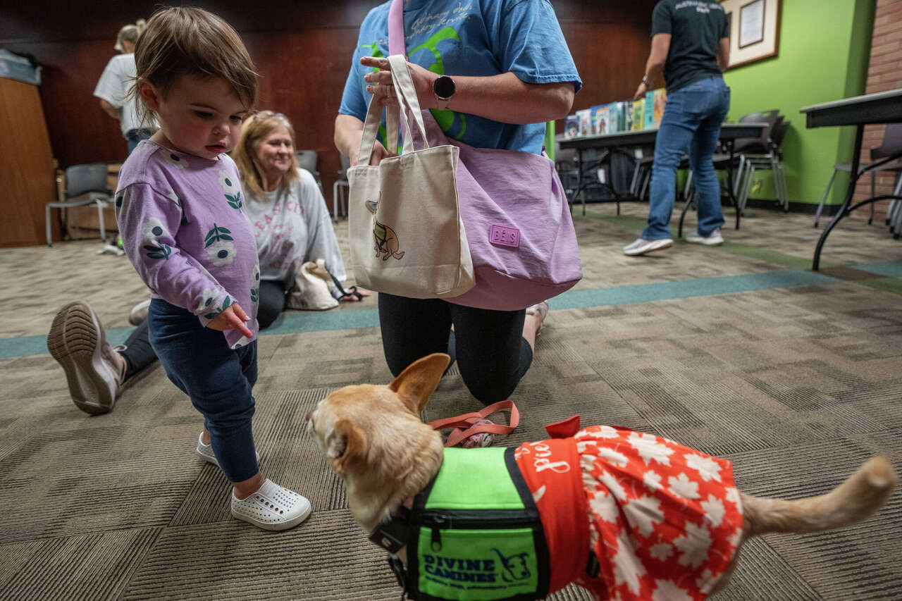 Austin delays Old Quarry Library reopening, keeps Menchaca branch open ...