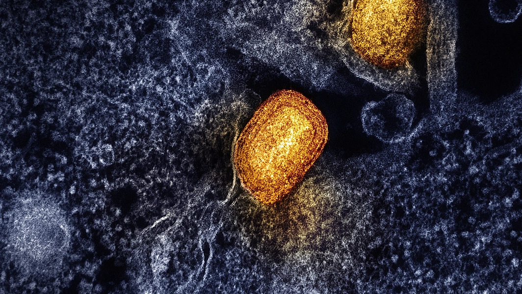 Life at the edge of definition