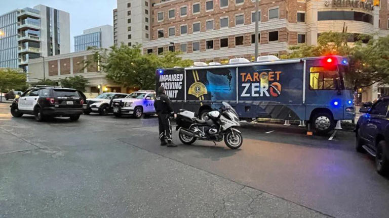 100 safe days of summer: Bellevue police step up DUI, distracted ...