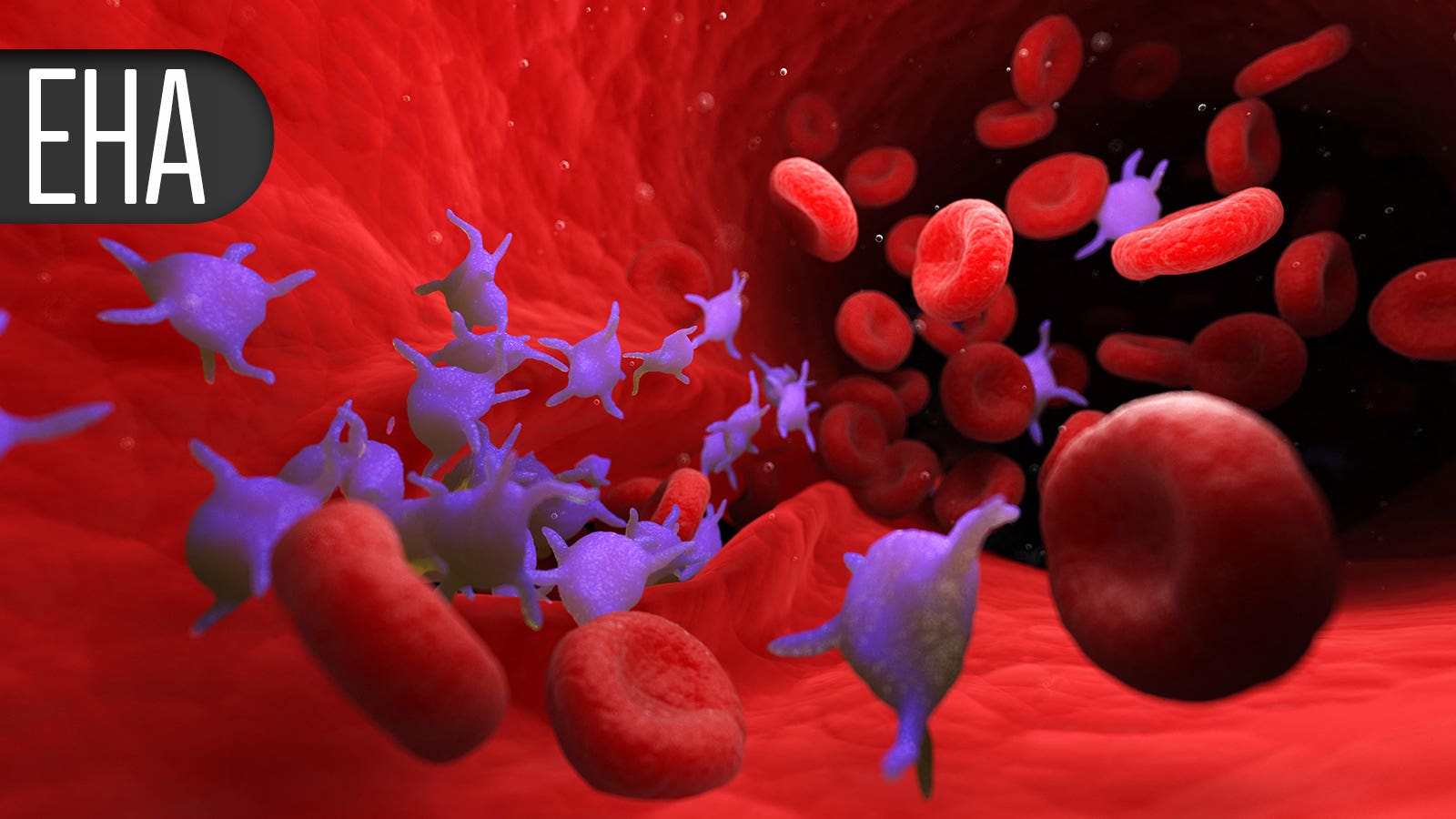Talquetamab regimens boost survival in multiple myeloma