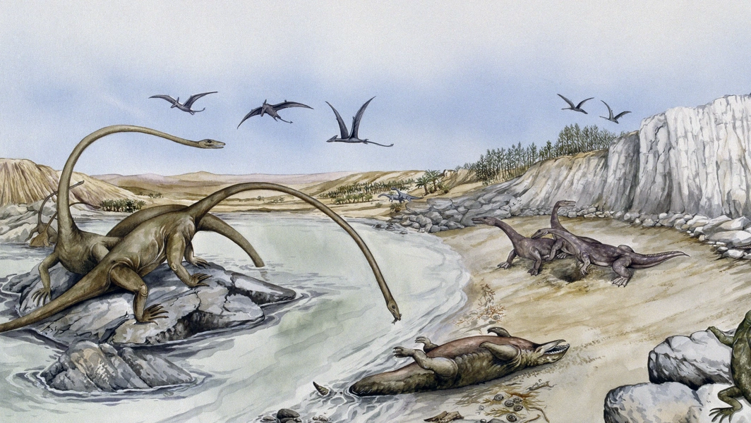 Dinosaur National Monument's fossils, rivers, and scenic wonders