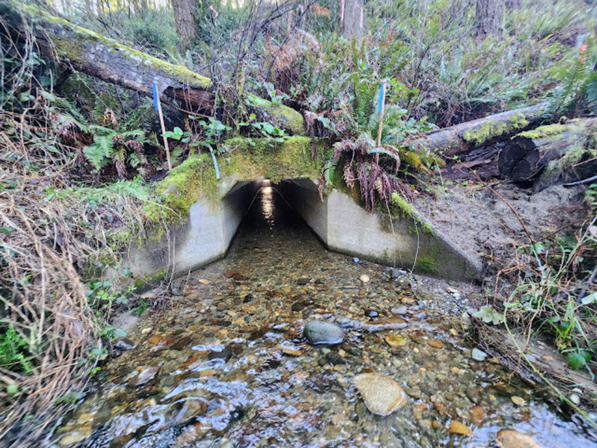 How will SR 3 closures affect traffic near the Purdy Bridge?