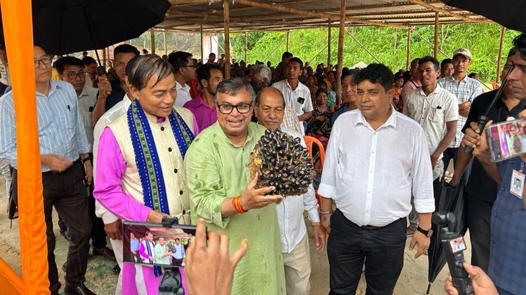 Tripura intensifies oil palm cultivation drive, covers over 3,500 ...