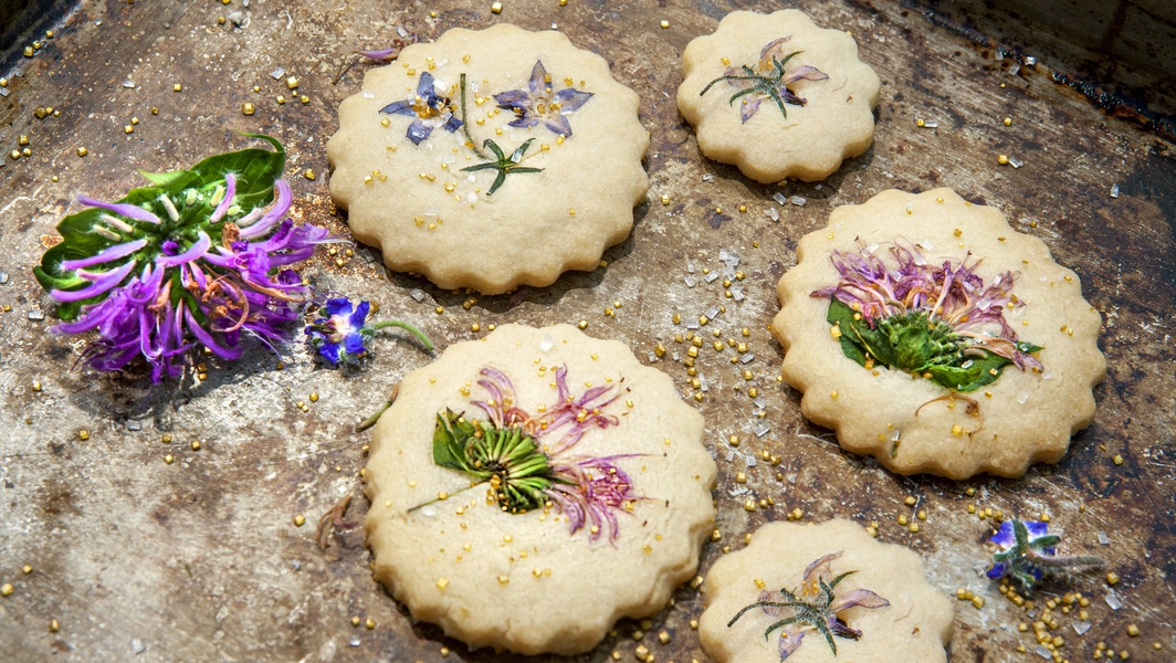 10 creative cookie recipes from classic to unconventional