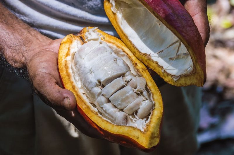 15 tasty facts about chocolate that make every square more interesting
