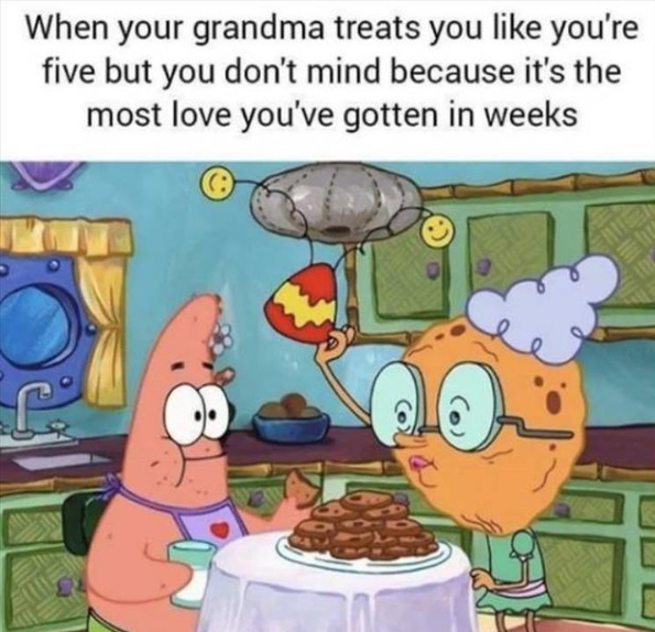 25 Grandparents Memes for Every Grandchildren Trying to Stop Their ...
