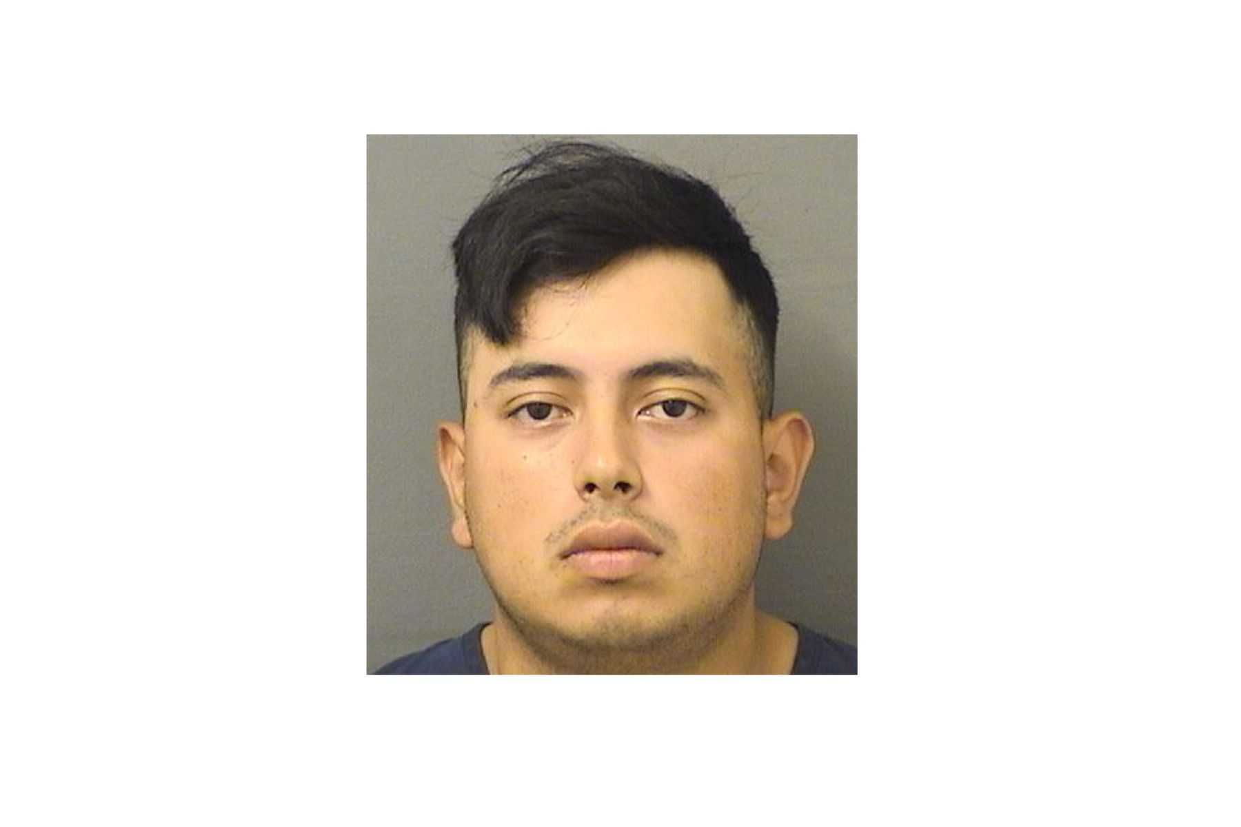 Broward County man charged in West Palm Beach car theft and break-ins