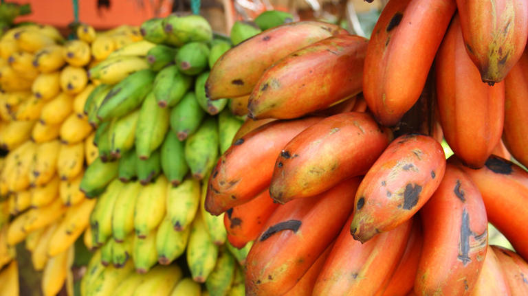 Red vs yellow bananas: Which fruit has more potassium?