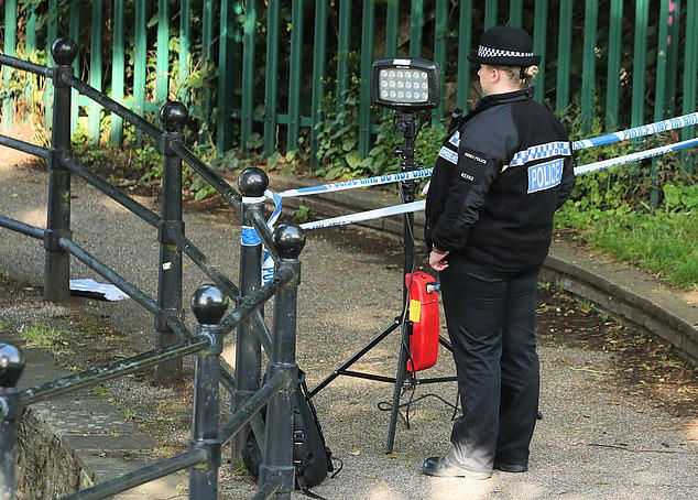 Girl fights for life after 'stolen digger incident' in park where seven ...