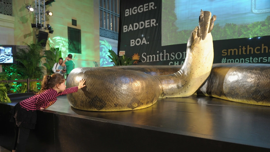 Prehistoric giants: Fossil evidence of ancient snakes