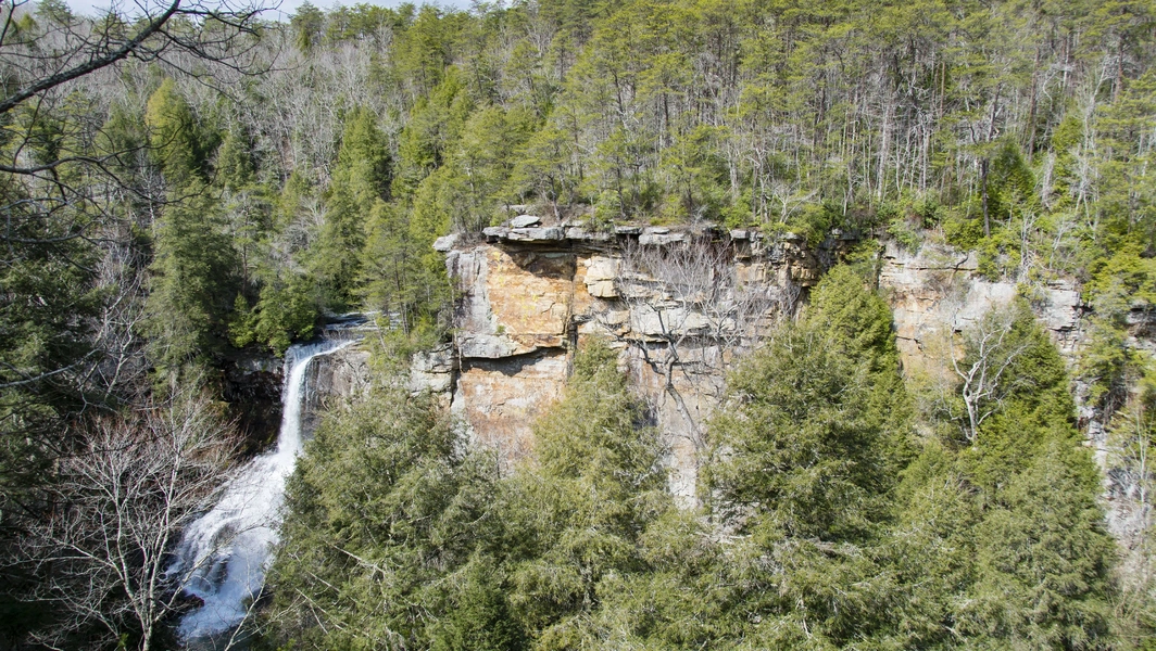 Natural wonders and wildlife of the Cumberland Plateau