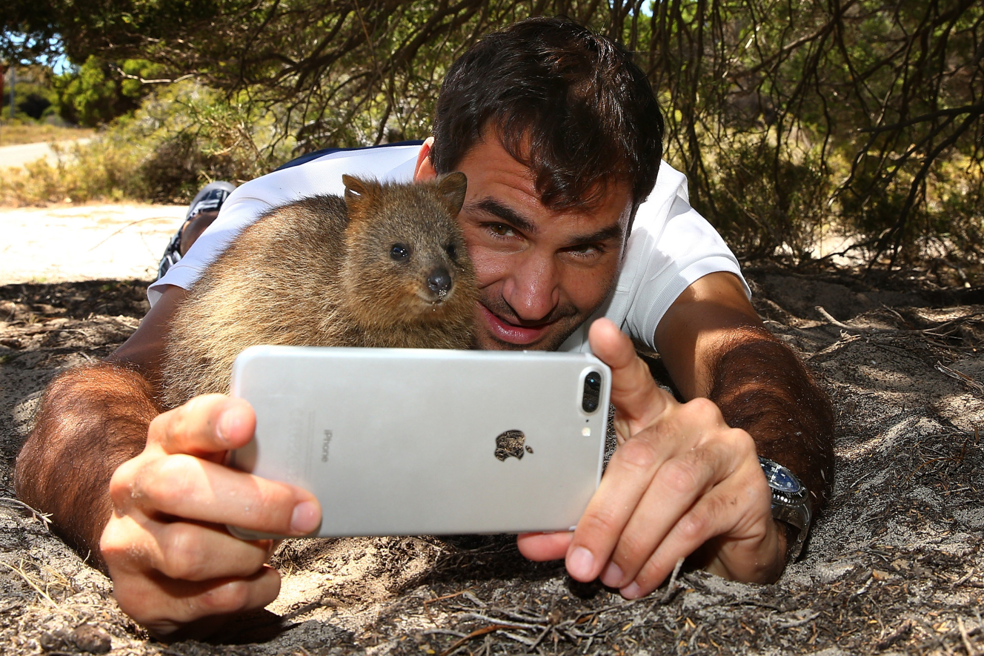 Australia's most iconic wildlife