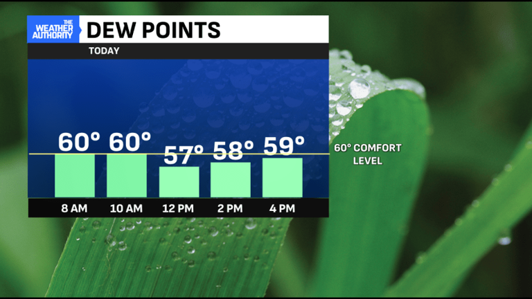 Mild Saturday before increasing storm coverage and a cold front