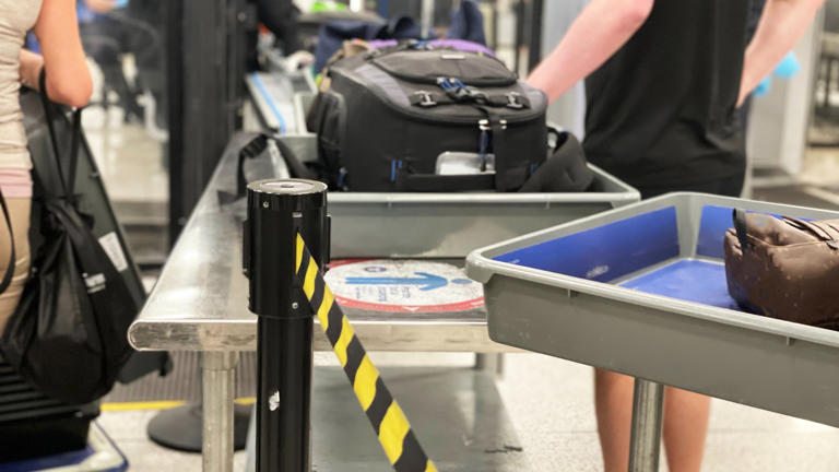 A woman went viral after explaining to a TSA agent why the body scanner ...