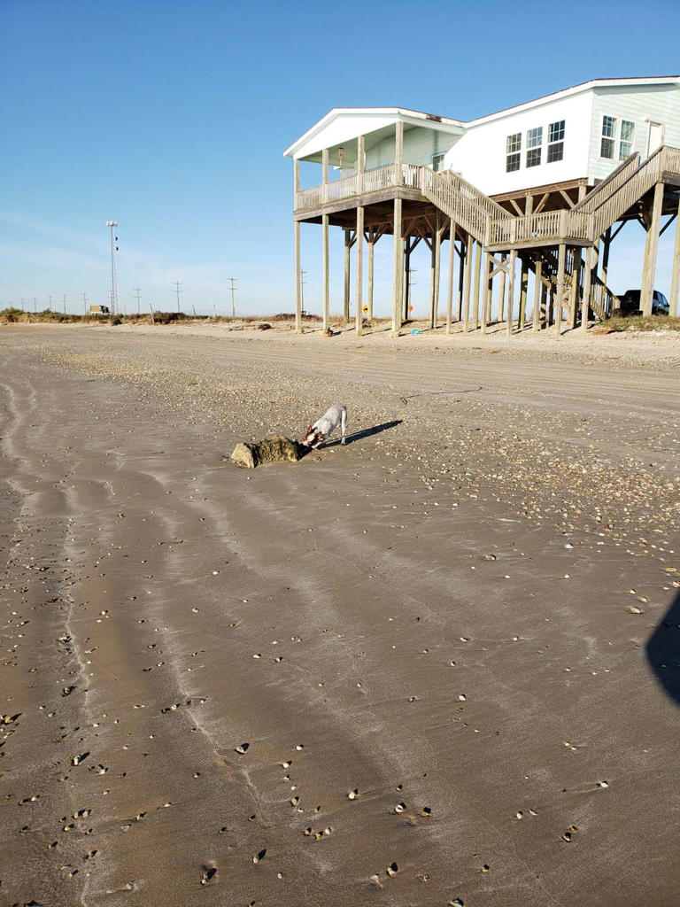 How a Texas beach house became an unlikely coastal landmark