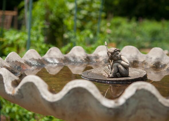 Anyone with a bird bath urged to act before July
