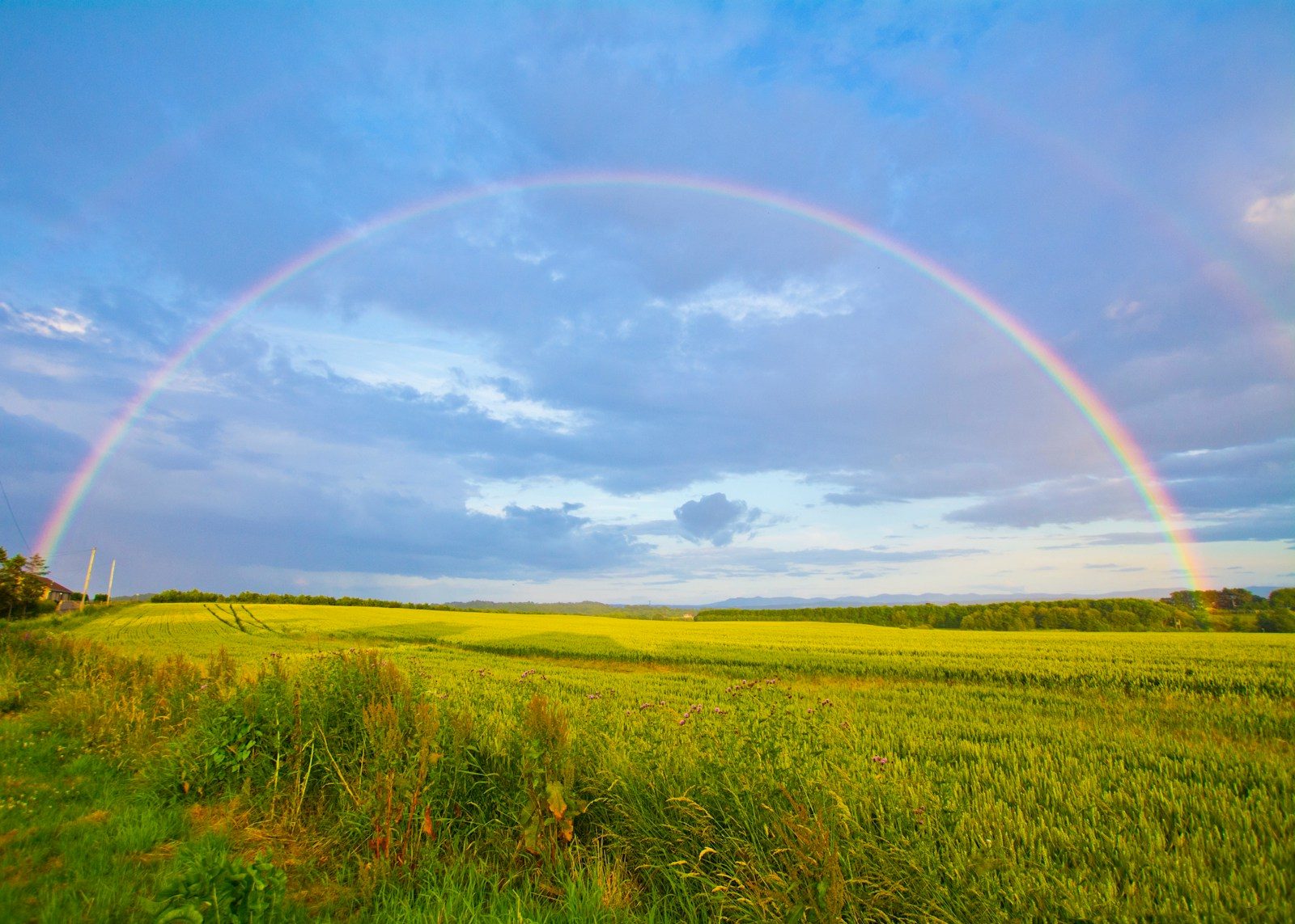 The science behind nature’s most colorful displays