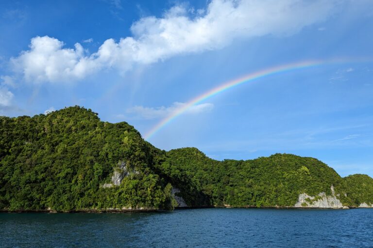 Researchers find dramatic restoration on land and sea after island rat ...
