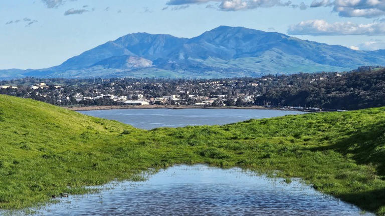 Sandwiched between San Francisco and Sacramento is California's ...