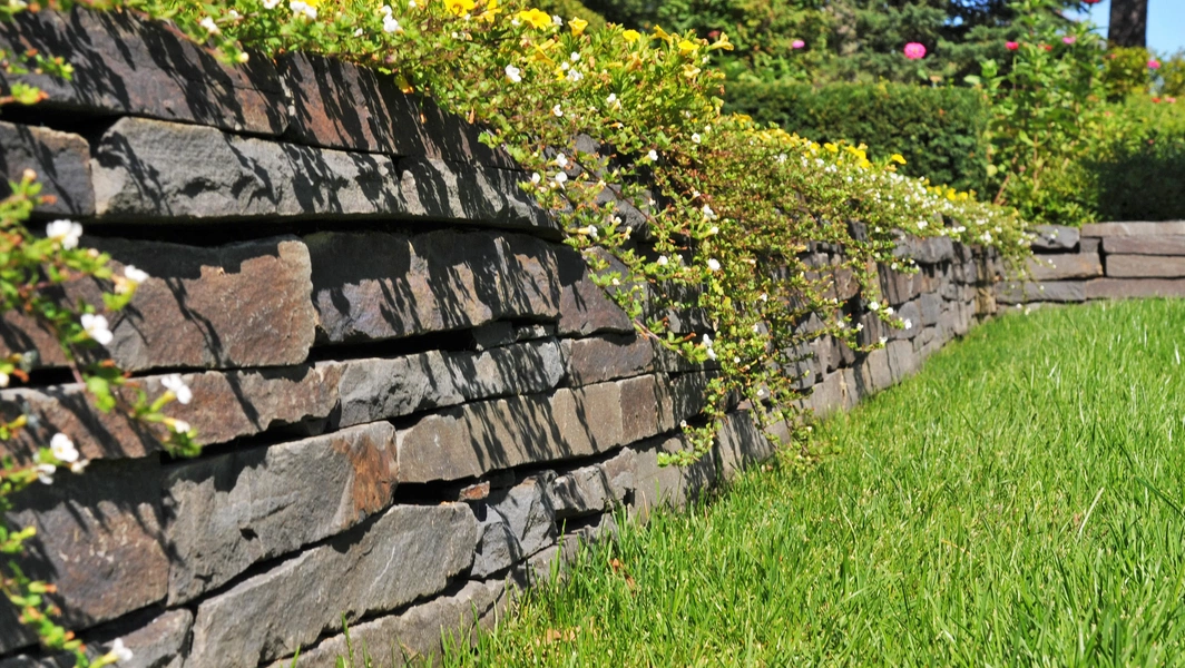 16 cascading plants perfect for retaining walls