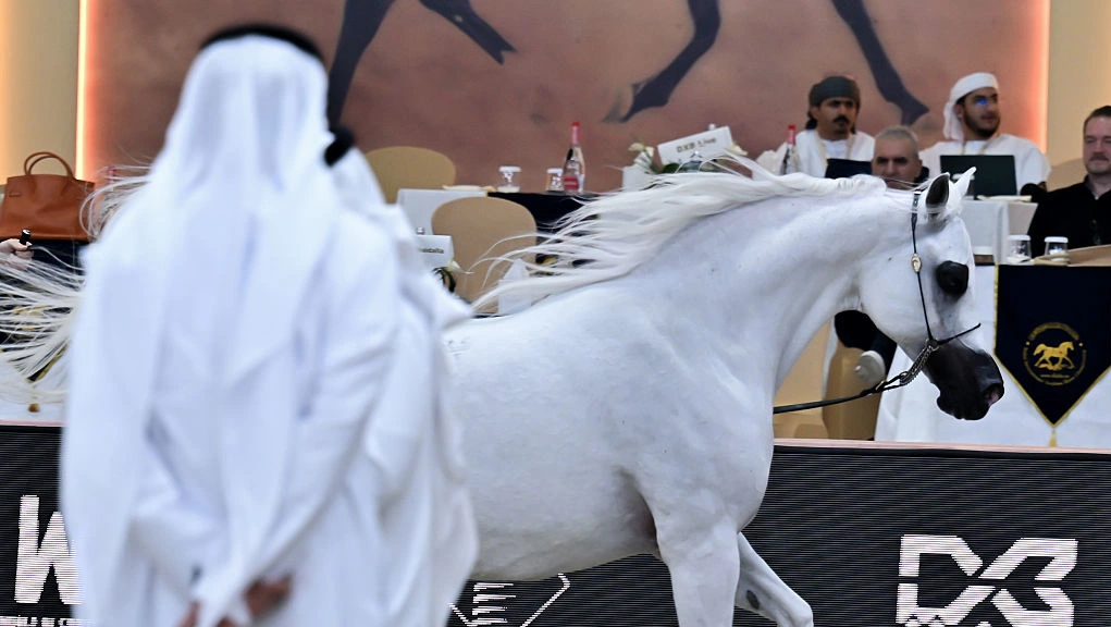 14 of the world’s most expensive animals