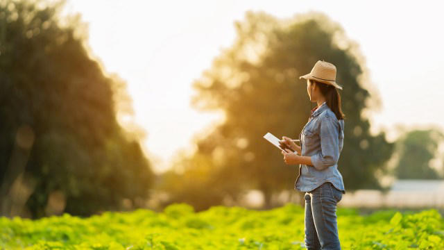 Michigan farm incubator races to replace retiring growers before USDA ...
