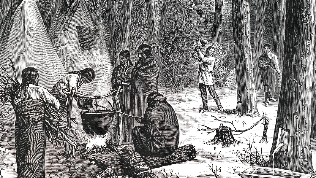 Maple syrup facts, production, and cultural significance