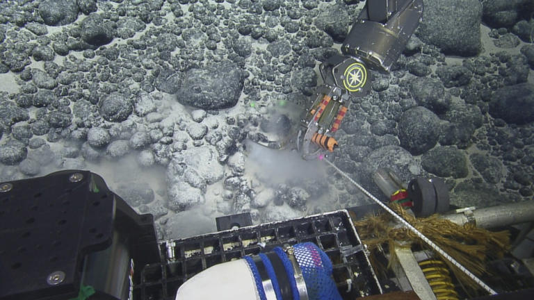 A deep-sea robot found a megalodon tooth 10,000 feet below the Pacific ...