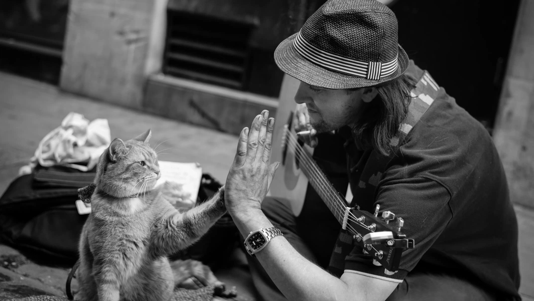 4 remarkable stories of cats choosing their humans