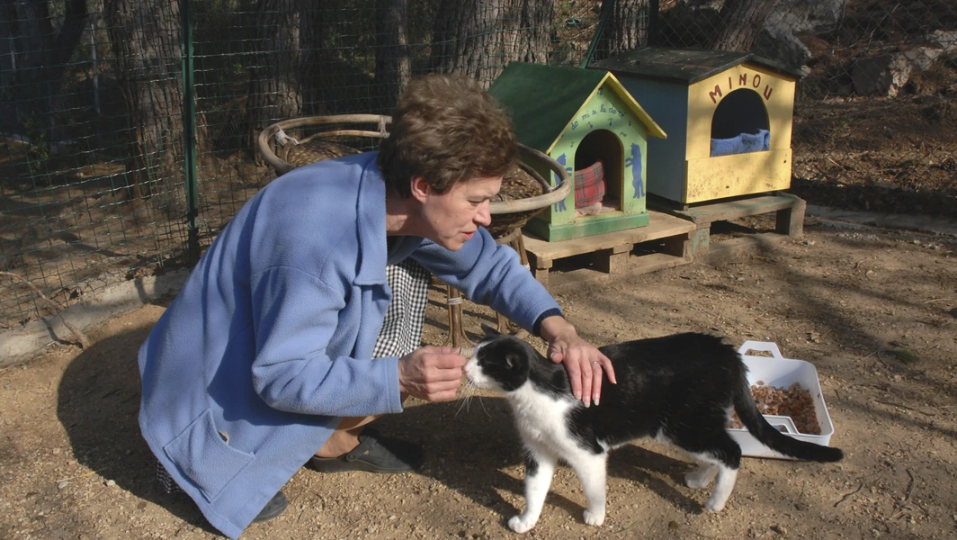 Volunteering with cats on the Greek island of Syros