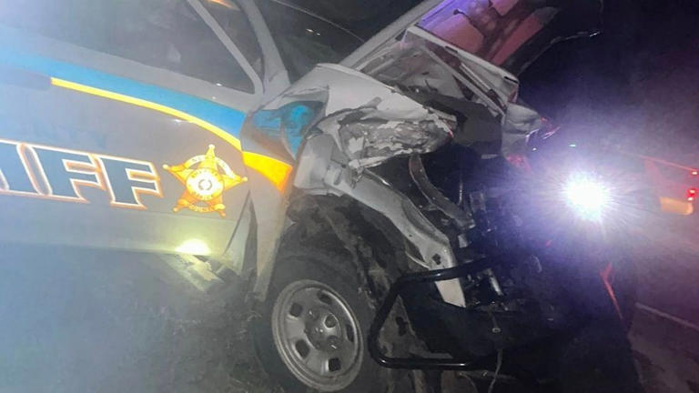Newton County deputy injured after patrol vehicle hits fallen tree on SH 87