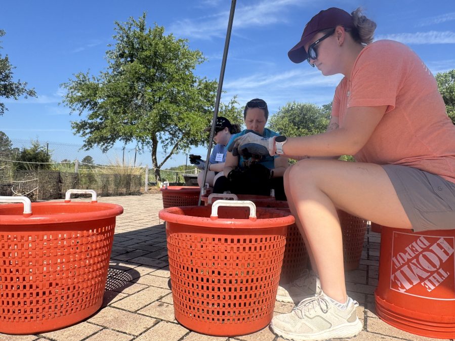 The Chesapeake Bay Foundation kicks off oyster gardening season in ...