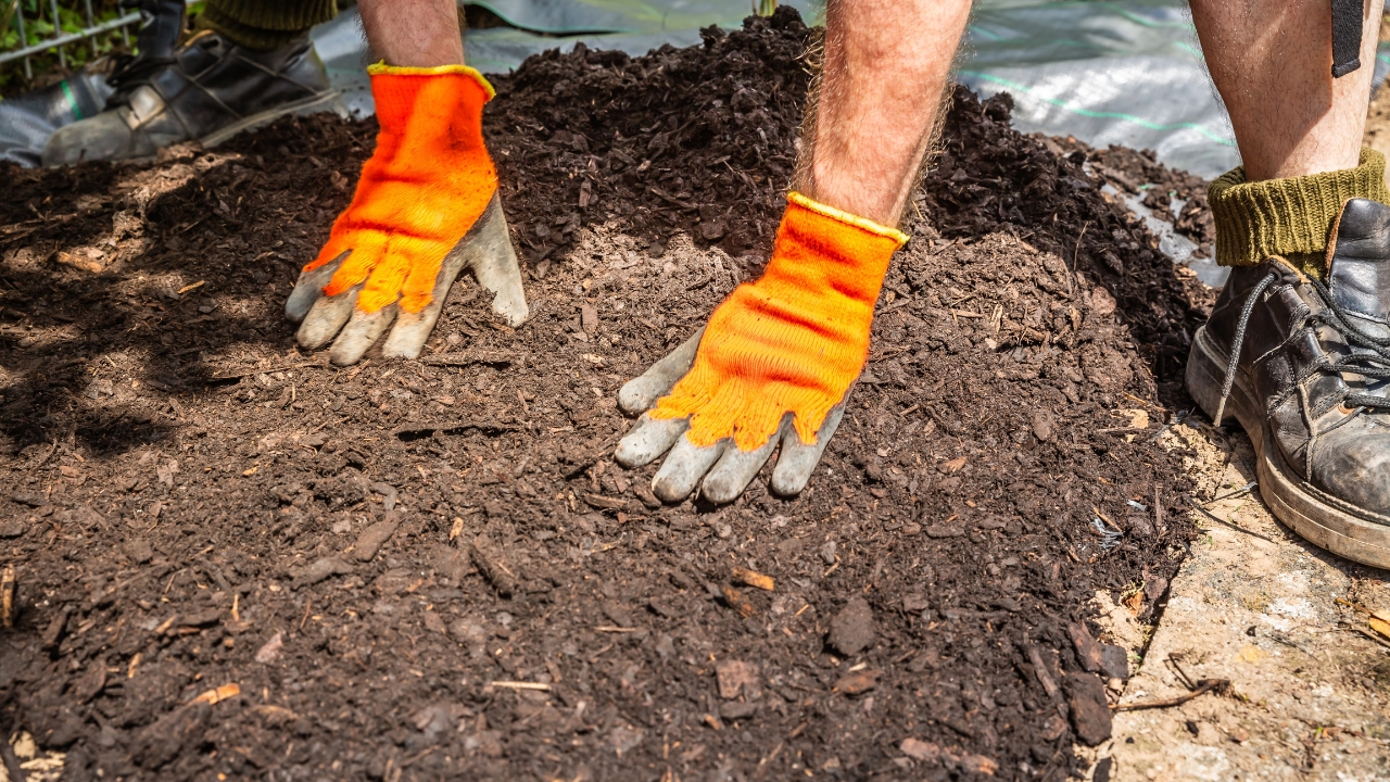 10 reasons your mulch isn’t working
