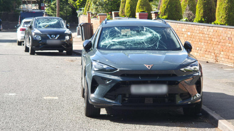 Windows smashed on over 40 parked cars with man arrested