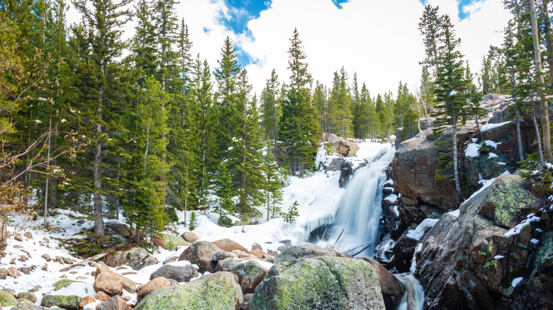 Rocky Mountain National Park's unique wildlife travelers would be ...