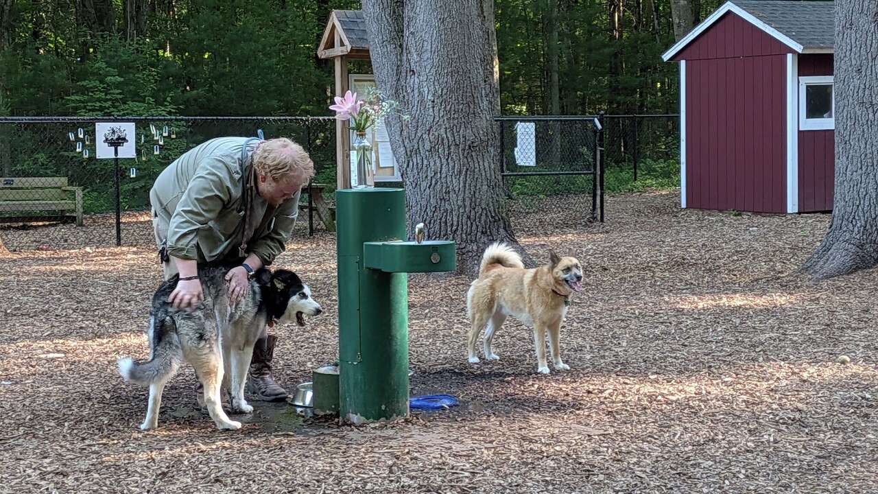 Owner of dog in fatal attack at Canton park demands answers: 'There was ...