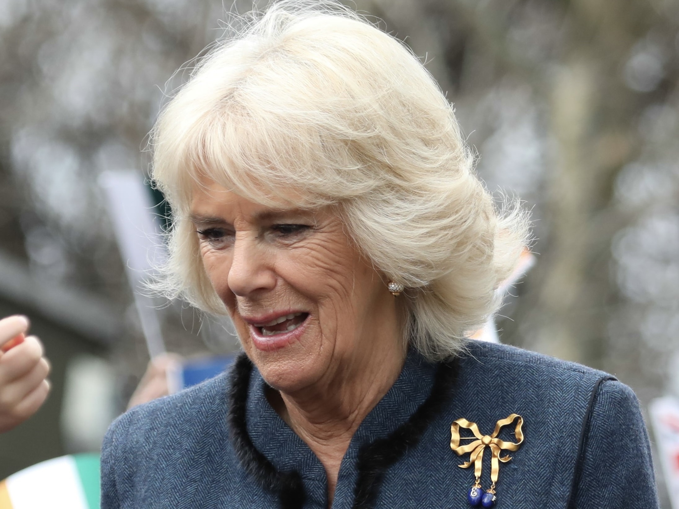 Queen Camilla allegedly demands King Charles punish 'arrogant' Prince ...