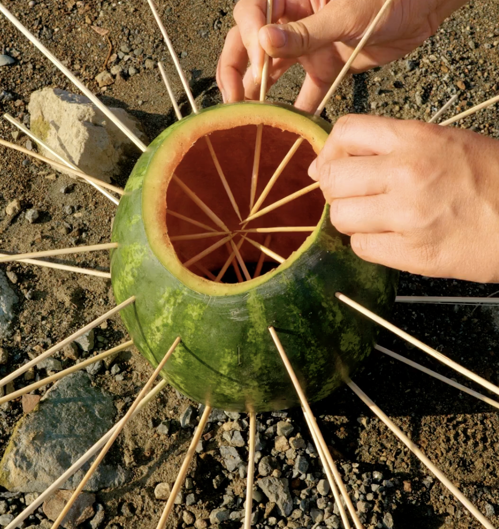 Unlock your fishing potential with these innovative techniques!