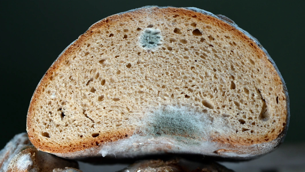 Science and strategies for keeping bread fresh