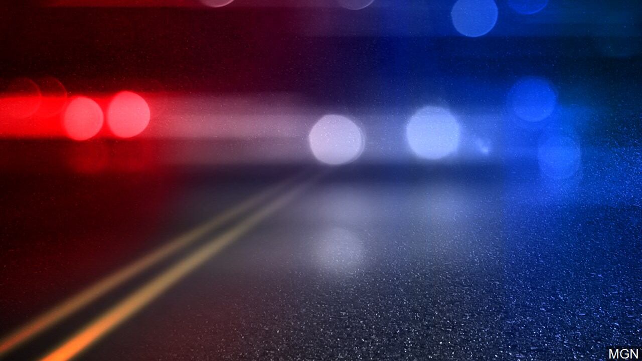 One dead after SUV hits deer, crashes into oncoming vehicle